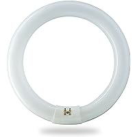 BULBMASTER FC8T9/D 22 Watts 8 Inch Round T9 Fluorescent Circular Light Bulb, Daylight 6500K ...