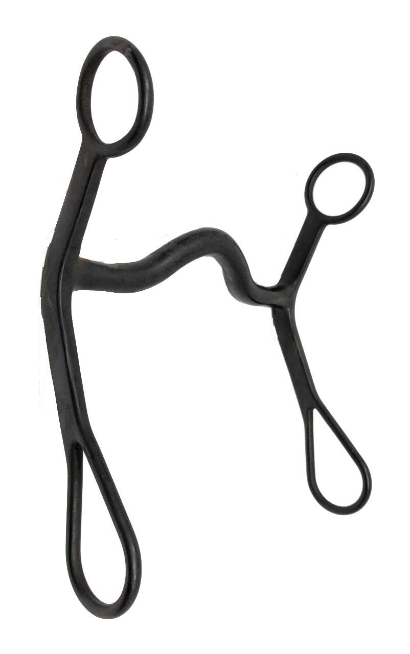 Amazon.com : Horse grazing C bit Black Steel 5" Low Port Western 6 ...