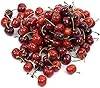 25 Bonsai Dwarf Cherry Tree Seeds | Indoor or Outdoor Fruit Tree | Made ...