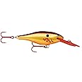 Amazon.com : Rapala Shad Rap 07 Fishing lure (Bleeding Copper Flash ...
