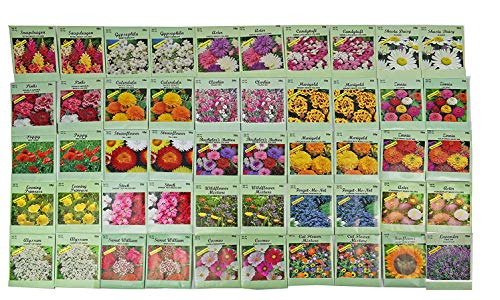 Valley Greene Set of 16 Heirloom Flower Seeds - Non-GMO - 16 Varieties ...