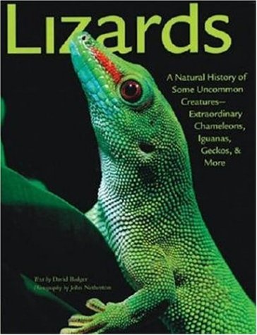 Lizards: A Natural History of Some Uncommon Creatures:Extraordinary ...