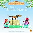 The Snow Storm (Farmyard Tales Minibook Series): Amazon.co.uk: Heather ...