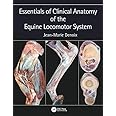 Essentials of Clinical Anatomy of the Equine Locomotor System ...