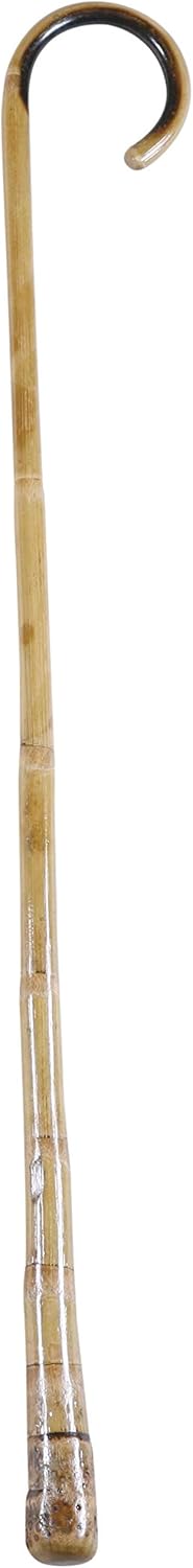 The Walking Stick Company Traditional Crook Wood Walking Stick – BigaMart