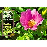 National Audubon Society Pocket Guide to North American Birds of Prey ...