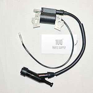 Amazon.com: 1UQ Ignition Coil Module CDI for Harbor Freight Predator ...