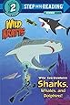 Amazon.com: Wild Sea Creatures: Sharks, Whales and Dolphins! (Wild Kratts) (Step into Reading ...