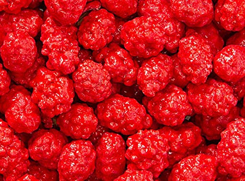 Amazon.com : Smarty Stop Sweet and Salty Red Candy French Burnt Peanuts ...