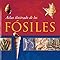 Atlas Ilustrado De Los Fosiles: Amazon.es: Susaeta, Equipo: Libros
