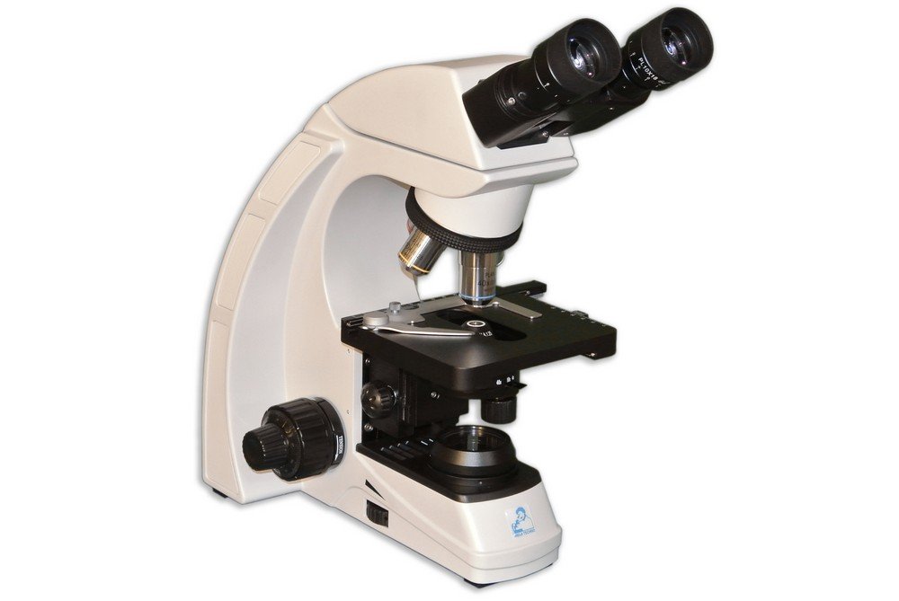 Microscope Sample Slides 4X 10X 100X Magnification 40X MEIJI TECHNO ...