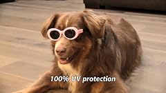 Amazon.com : Doggles ILS Medium Leopard and Smoke Lens : Pet Sunglasses ...