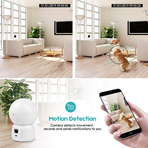 Baby Monitor Camera Alexa at Millard Brochu blog