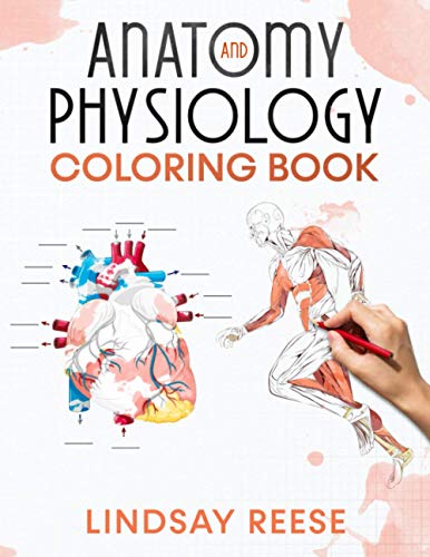 Anatomy and Physiology Coloring Book: A Self-Test Human Anatomy ...