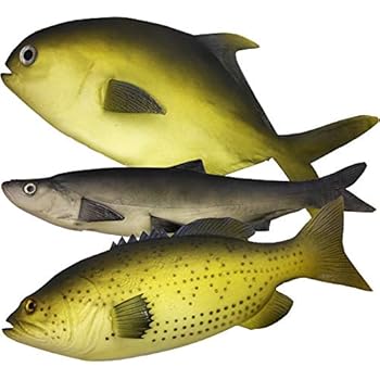 Amazon.com: ZUINIUBI Fake Fishes Realistic Fish Playset Model Lifelike ...