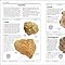 Amazon - Rocks & Minerals (DK Smithsonian Handbook): Pellant, Chris ...
