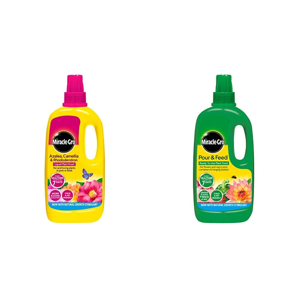 Buy Miracle-Gro Azalea, Camellia & Rhododendron Concentrated Liquid ...