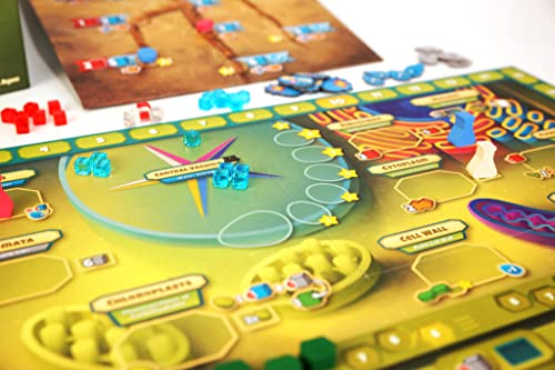 Cellulose: A Plant Cell Biology Game | Photosynthesis, DNA ...