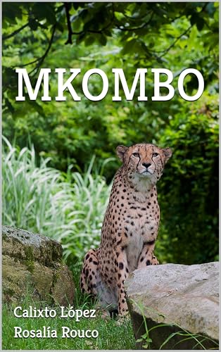 MKOMBO - eBook, Resumo, Ler Online e PDF - por López, Calixto