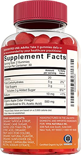 Organic Apple Cider Vinegar Gummies (60 Gummies) - ACV Gummies with The Mother, Supports Healthy ...