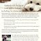The Power of Positive Dog Training: Miller, Pat: 8601410979904: Amazon ...
