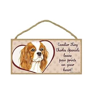 Amazon.com : Cavalier King Charles Spaniel - leave paw prints on your ...