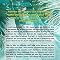 Amazon.com: The Perfect Ruin: A Riveting New Psychological Thriller ...