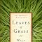 Leaves of Grass: The Original 1855 Edition: Walt Whitman, American ...