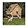Rowlinson Chicken Coop, Large: Amazon.co.uk: Pet Supplies