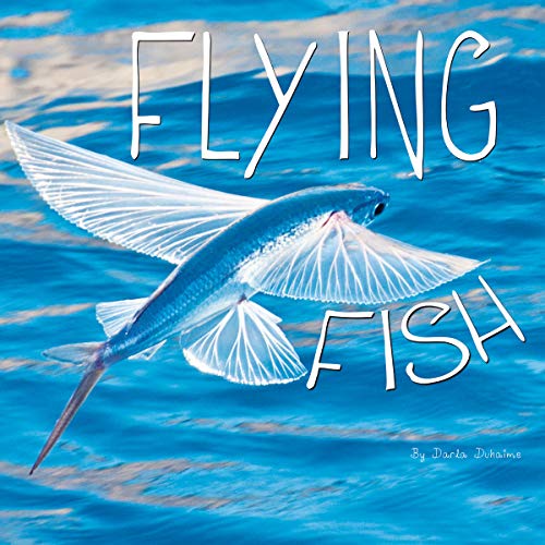 Flying Fish (Ocean Animals): Duhaime, Darla: 9781683424222: Amazon.com ...