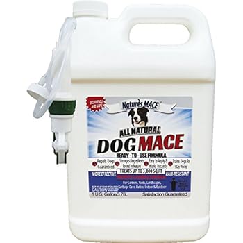 Amazon.com : Dog MACE Dog Repellent 1 Gallon Ready-to-Use Spray ...