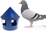 7 Best Pigeon Feeders Review | With Buyer's Guide