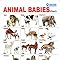 Buy Animal Babies Chart Book Online at Low Prices in India | Animal ...