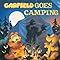 Garfield Goes Camping (Lift-the-Flap Books): Jim Davis, Jim Kraft, Mike ...