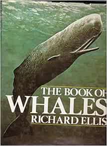 The Book of Whales: Ellis, Richard: 9780394509662: Amazon.com: Books