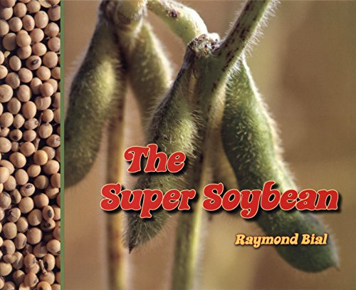 The Super Soybean: Raymond Bial: 9780807575499: Amazon.com: Books