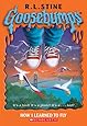 Goosebumps #52: How I Learned To Fly: Stine, R L, Stine, R.L ...