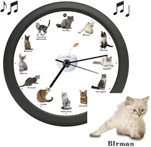 Amazon.com: CAT CLOCK With MEOW SOUNDS : Home & Kitchen