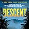 Amazon.com: Descent: A Novel (9781616204778): Johnston, Tim: Books