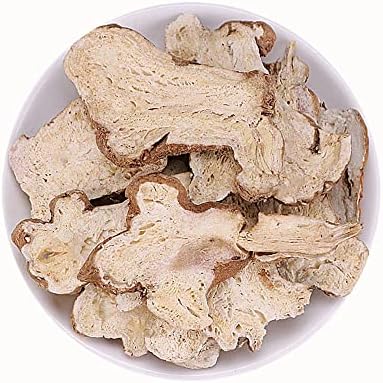 سعر جذمور اتراكتيلودس بيضاء، جذمور كبير الرأس، باي زو، رهيزوما ...