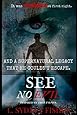 Amazon.com: See No Evil (9781537099620): L. Sydney Fisher: Books