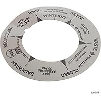 Amazon.com: Pentair 273207 2-Inch De Label Replacement for Pentair Pool ...