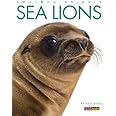 Amazing Animals: Sea Lions: Riggs, Kate: 9780898129281: Amazon.com: Books
