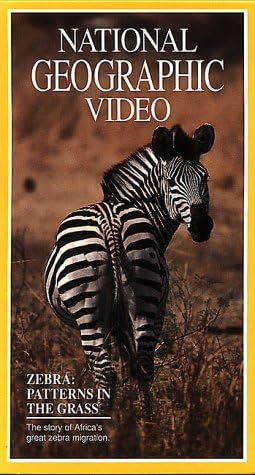 Amazon.com: National Geographic Video: Zebra: Patterns in the Grass ...