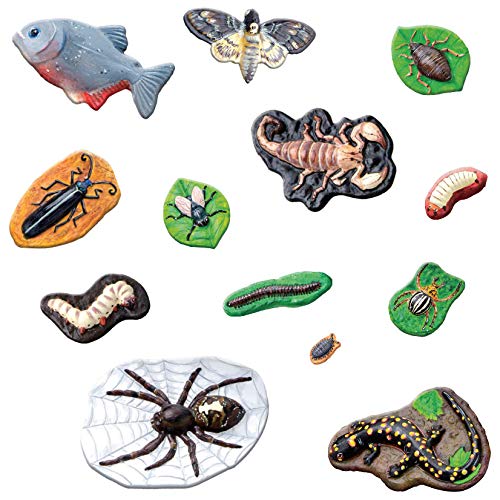 Mould and Paint Your Own Creepy Crawlers Craft Set - Make Paintable ...