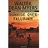 Amazon.com: Fallen Angels (9780545055765): Walter Dean Myers: Books
