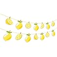 Amazon.com: Kristin Paradise Lemon Banner, Citrus Lemonade Party Sign ...