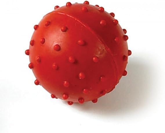 Classic Rubber Pimple Ball With Bell 4.5Cm: Amazon.co.uk: Pet Supplies