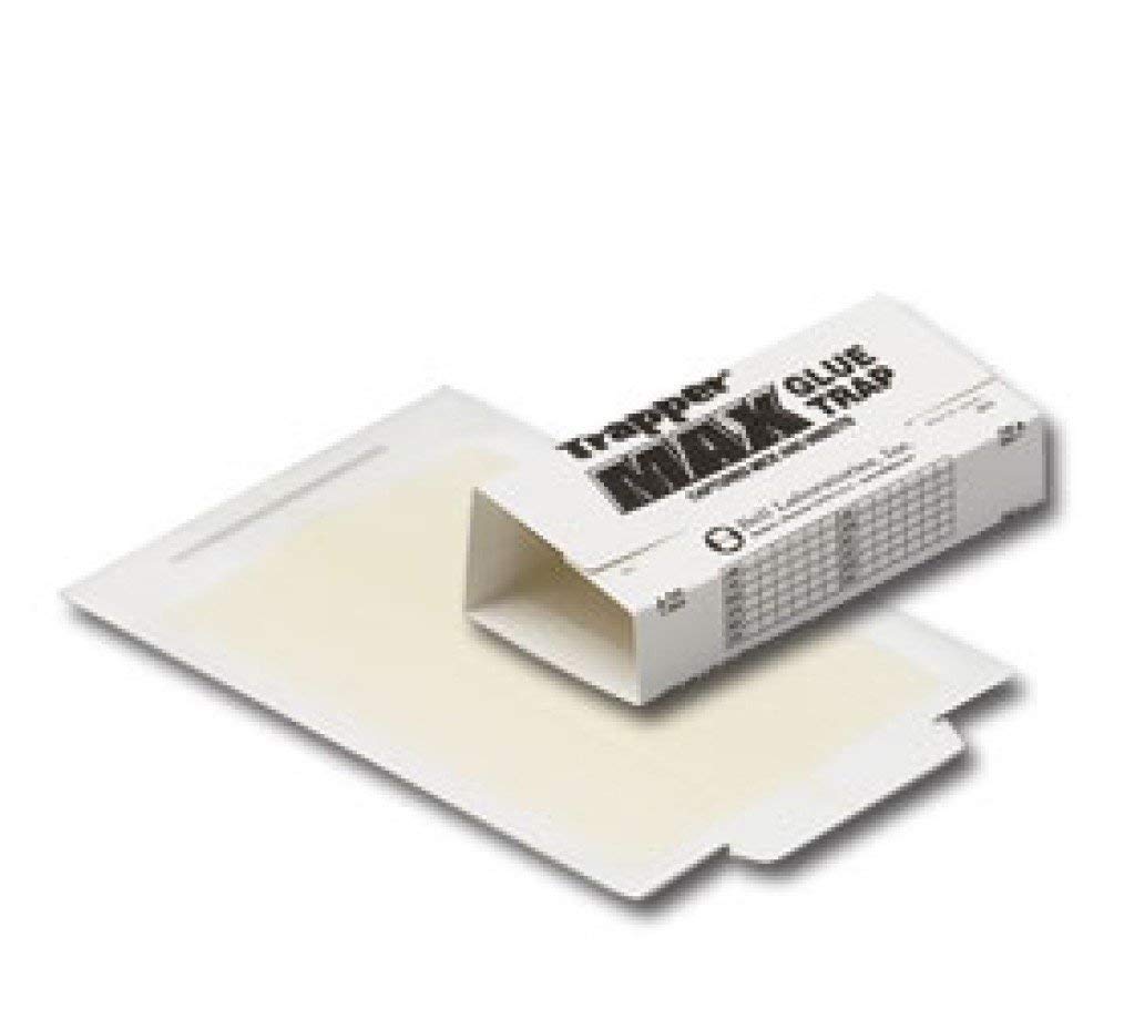 Mua Glue Traps 12 Glue Boards Trap Mouse Bugs Insects Bed Bugs Spiders ...