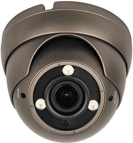 Single Dome Type Cameras | CAMERA SECURITY REVIEWS